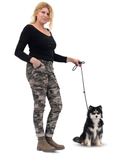 Pomsky Fokker - Nr. 1 van Nederland | Pomsky Shades of Grey