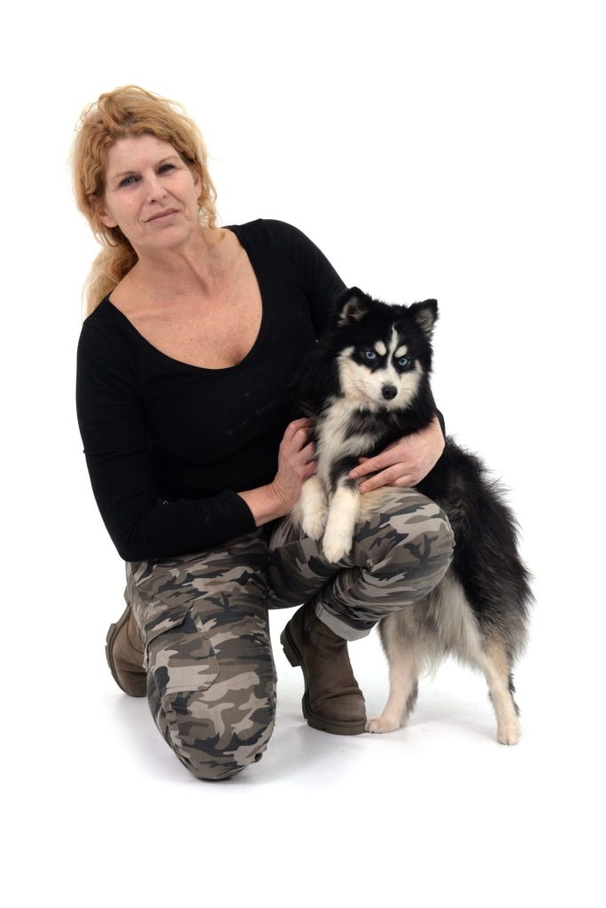 Pomsky Fokker - Nr. 1 van Nederland | Pomsky Shades of Grey